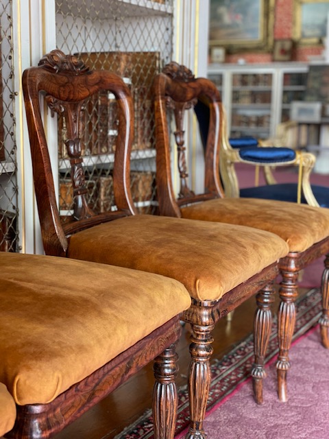 What’s On and News – Tabley House